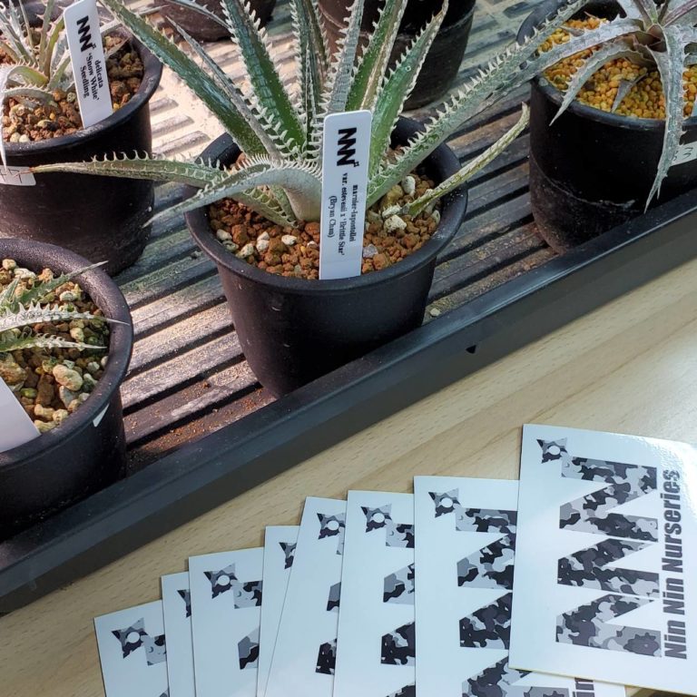 NNN：ニンニンナーセリーズ（Nin Nin Nurseries）ロゴステッカー入手方法 | Dyckia Maniax